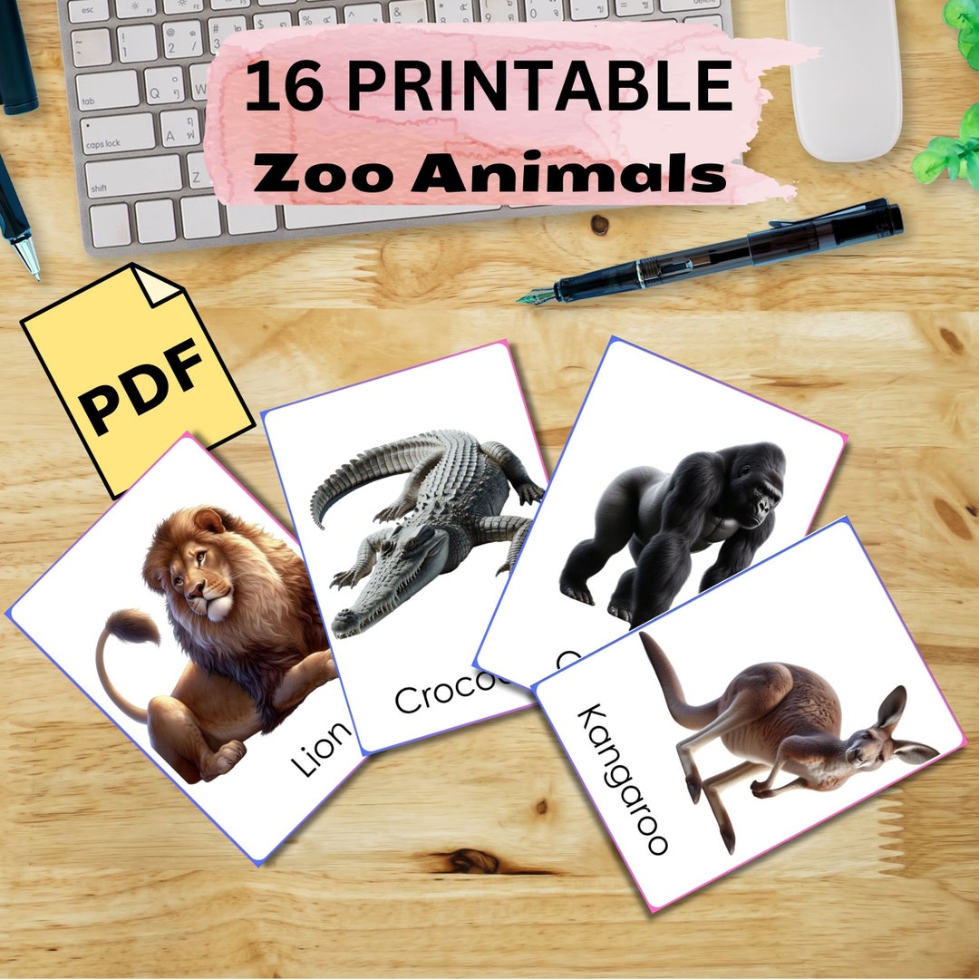 Zoo Animals Editable Flashcards | Digital Flash Cards | Printable Flash ...
