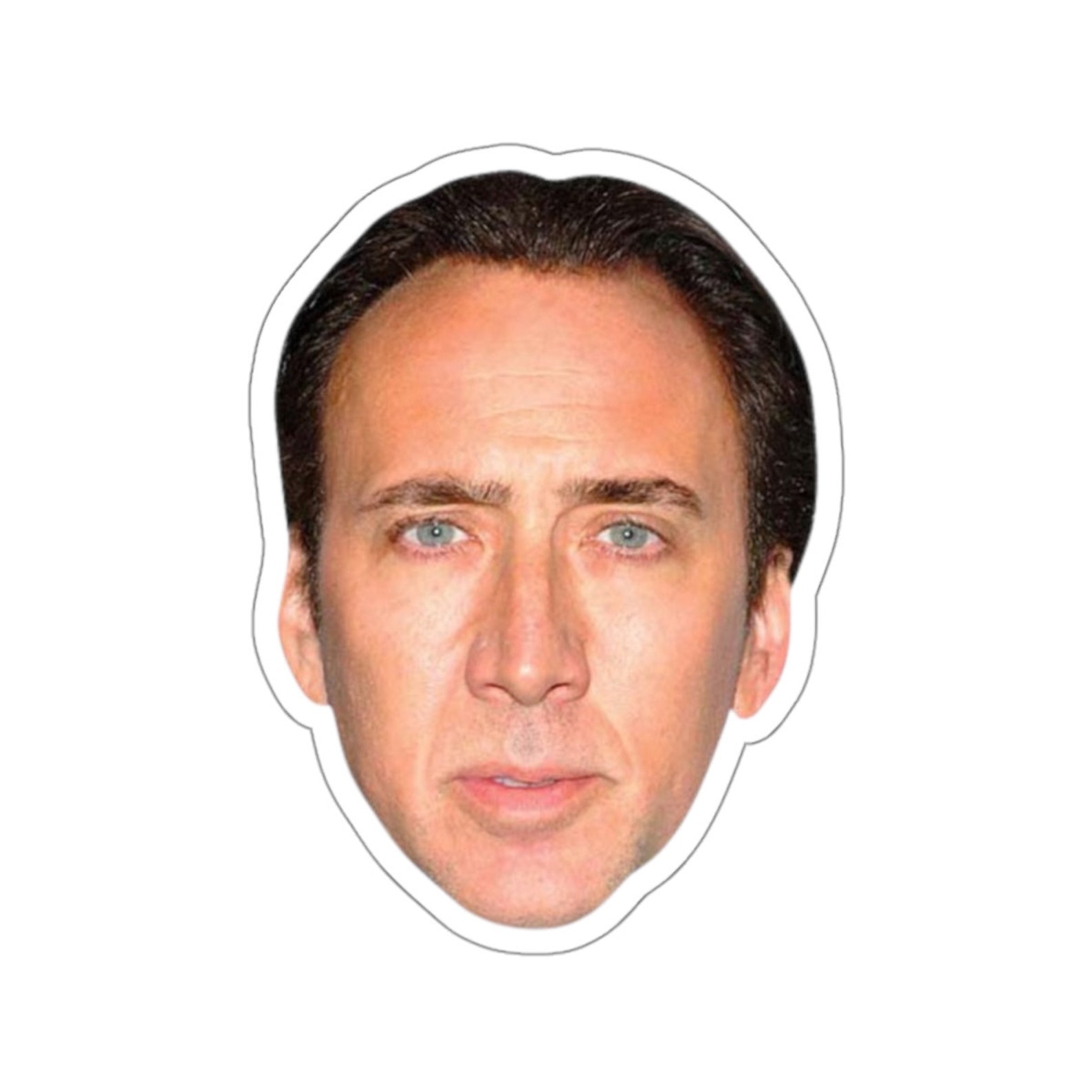 Nic Cage Sticker, Nick Cage Face, Nicolas Cage Gift, Nicholas Cage ...