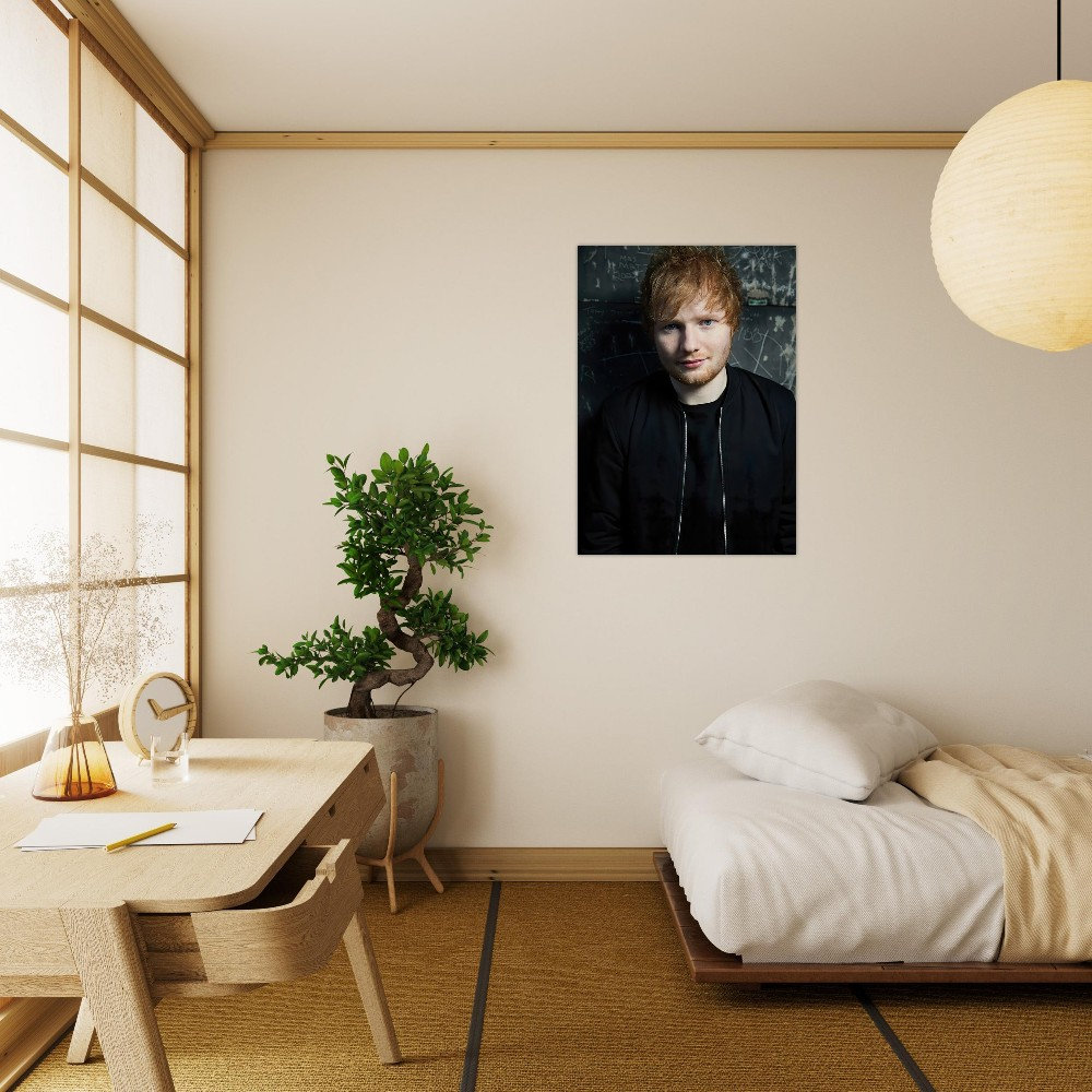 Ed Sheeran Themed Poster A Musical Visual Treat: Add a Touch - Etsy