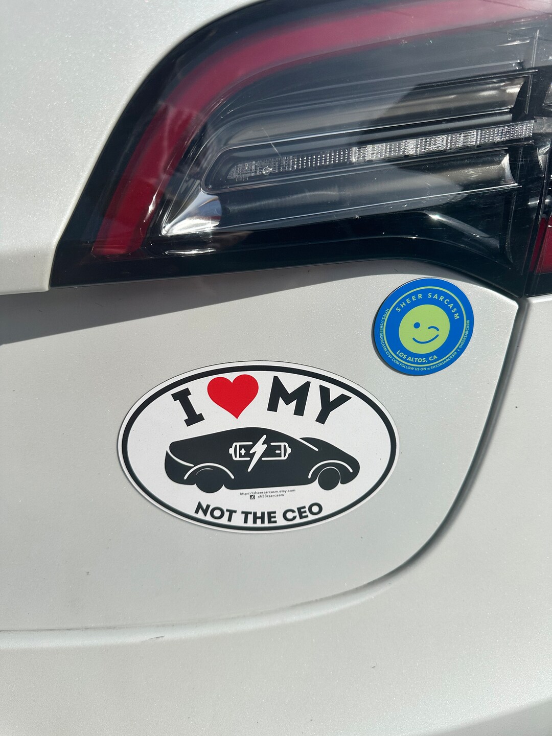 Funny EV Magnet Tesla Accessories | Anti-elon Musk Car Decor | Electric ...