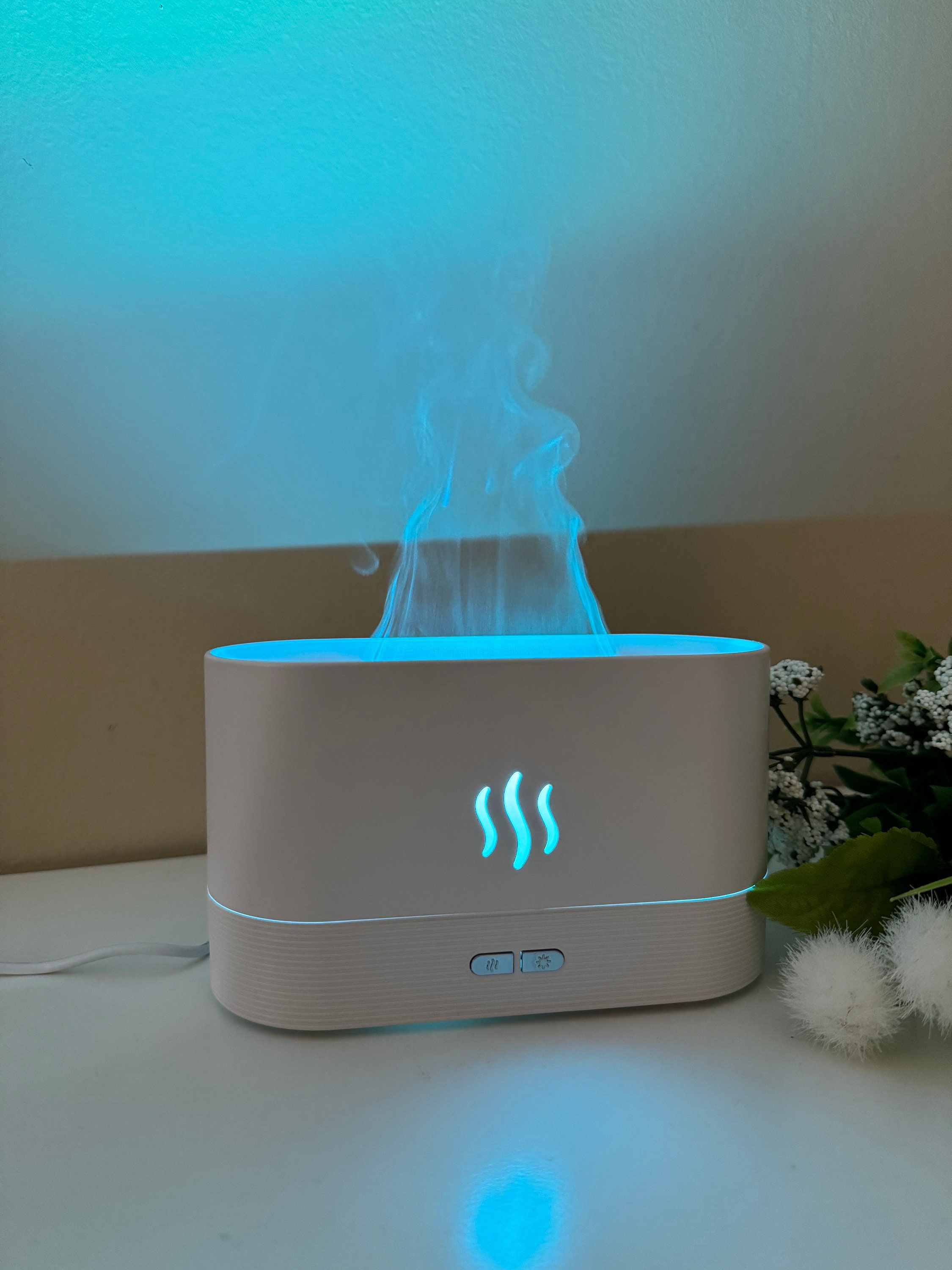 Diffuser Humidifier - Etsy