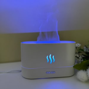 Diffuser Humidifier - Etsy