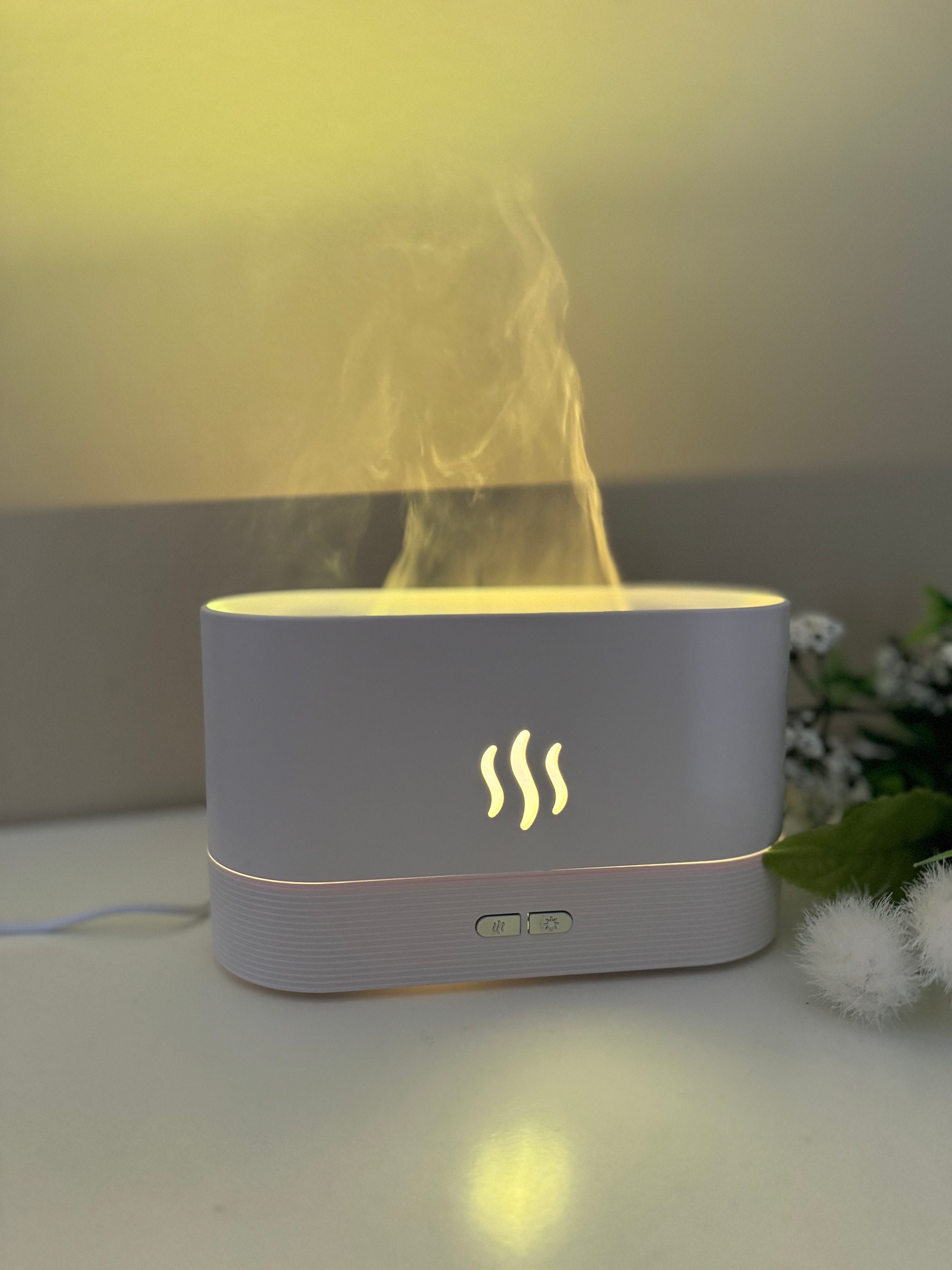 Diffuser Humidifier - Etsy