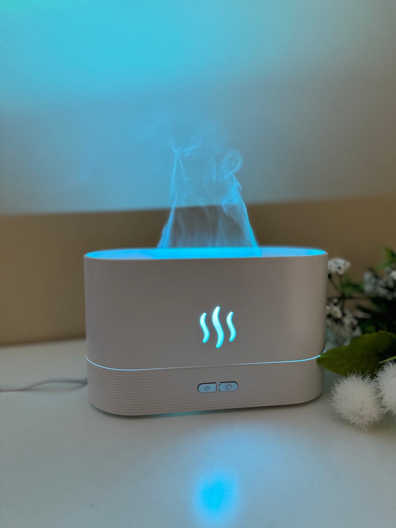 Diffuser Humidifier - Etsy