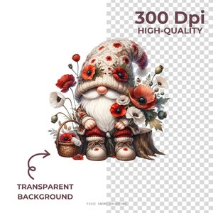 Watercolor Valentines Poppy Remembrance Floral Gnome Clipart PNG Bundle ...