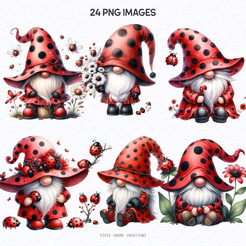 Watercolor Miraculous Ladybug Gnome PNG Clipart Bundle, Miraculous ...