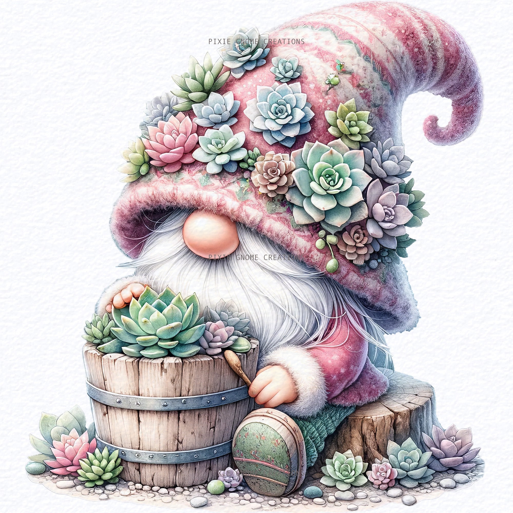 Watercolor Succulent Cactus Gnome Clipart Bundle Png, Succulent Garden ...