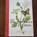 Stumpwork Butterflies and Moths by Jane Nicholas an Embroidery How to ...