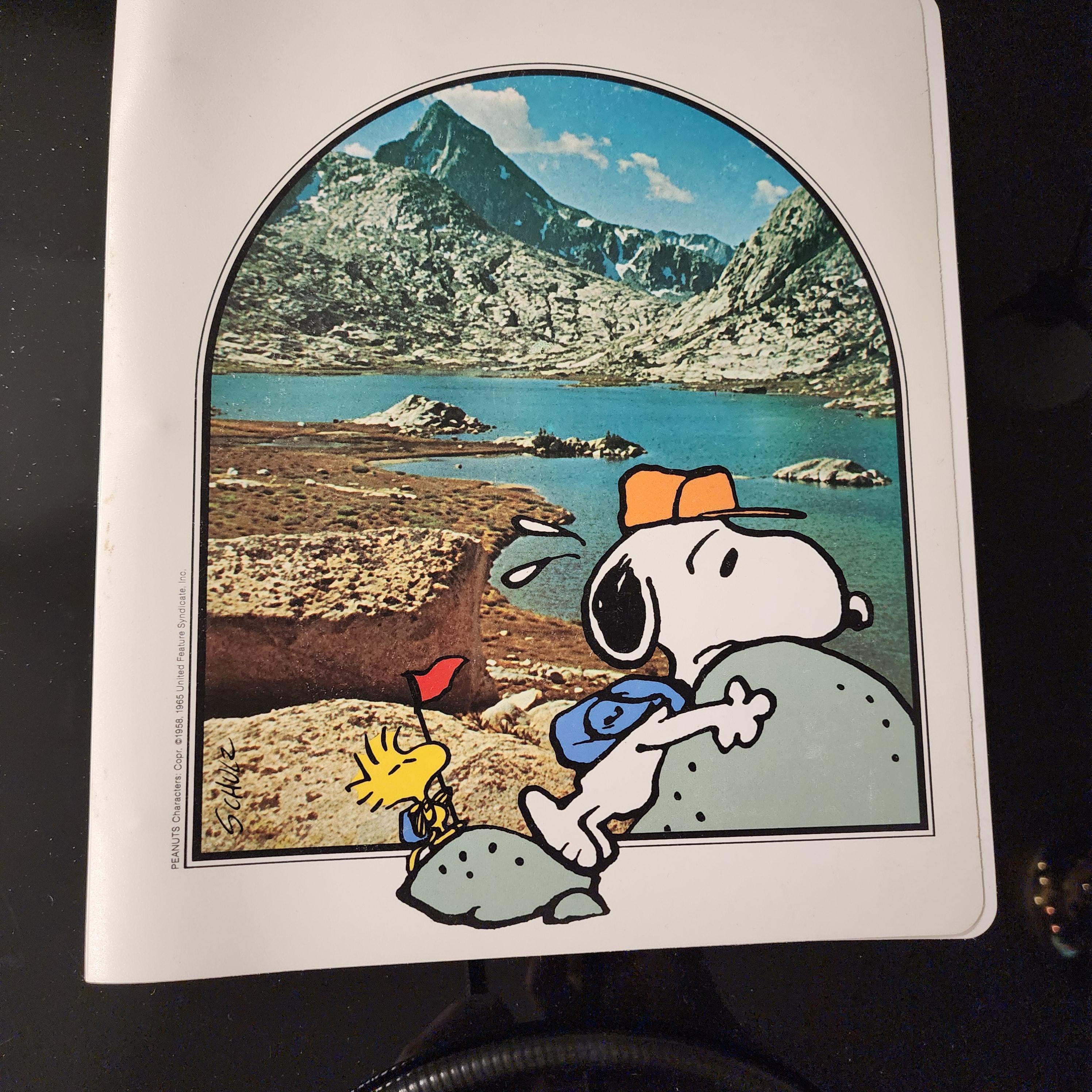 Vintage Collectible Snoopy Peanuts Collection Three Ring Binder - Etsy