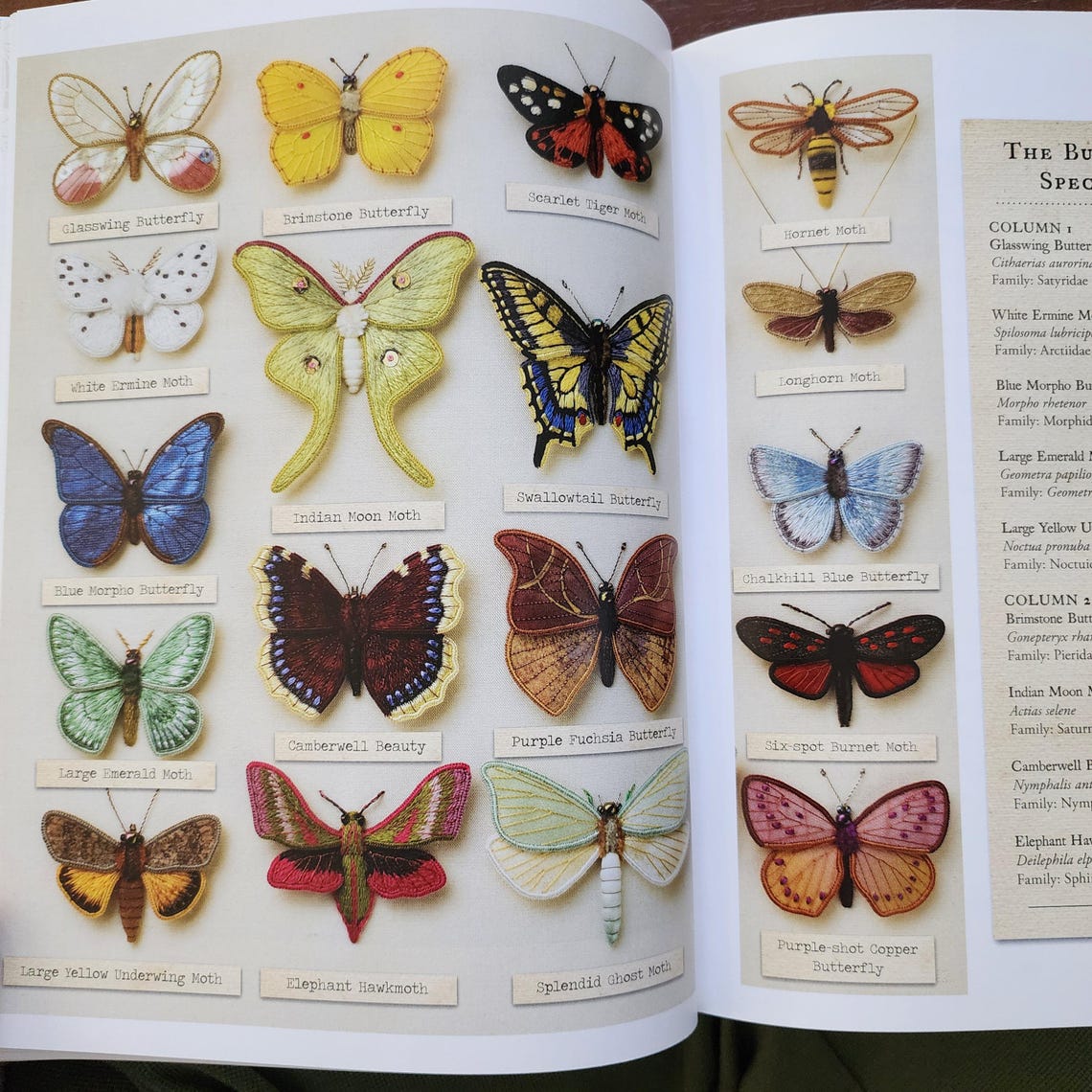 Stumpwork Butterflies and Moths by Jane Nicholas an Embroidery How to ...