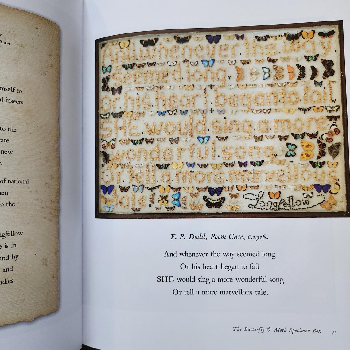 Stumpwork Butterflies and Moths by Jane Nicholas an Embroidery How to ...