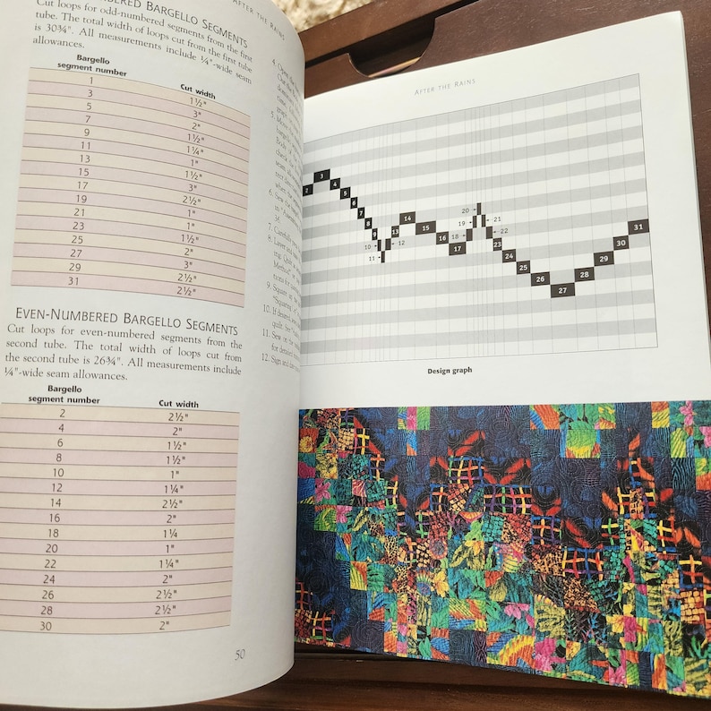 Colorwash Bargello Quilts by Beth Ann Williams ©2001 First Printing - Etsy