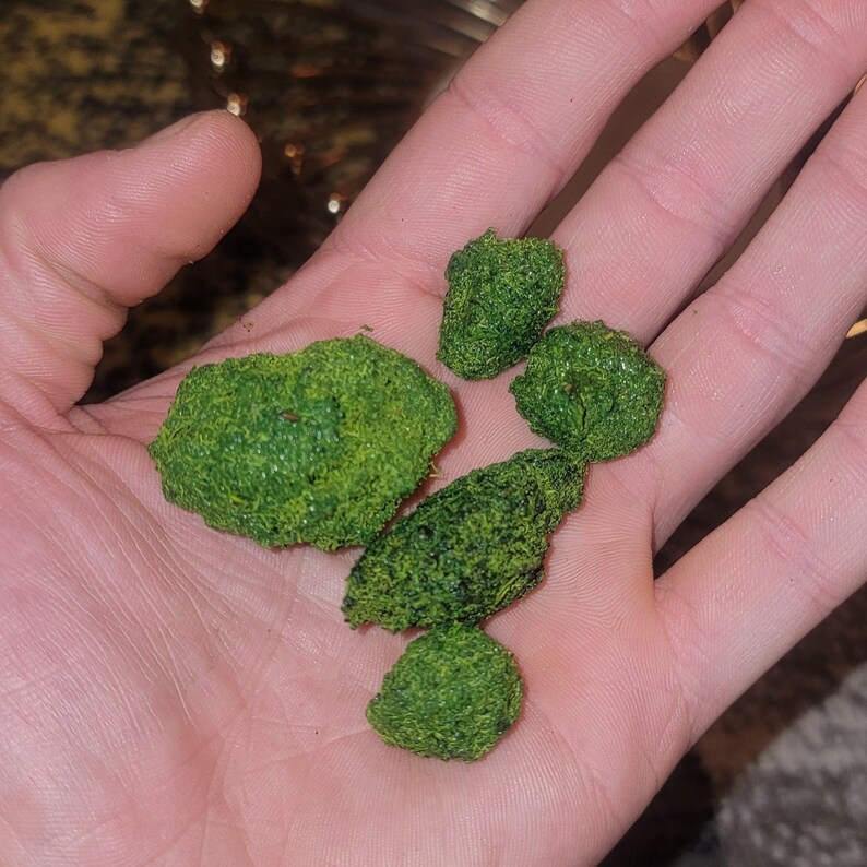 SALE Forever Nugs Faux Cannabis Fake Weed Elevate Your Display Retail ...