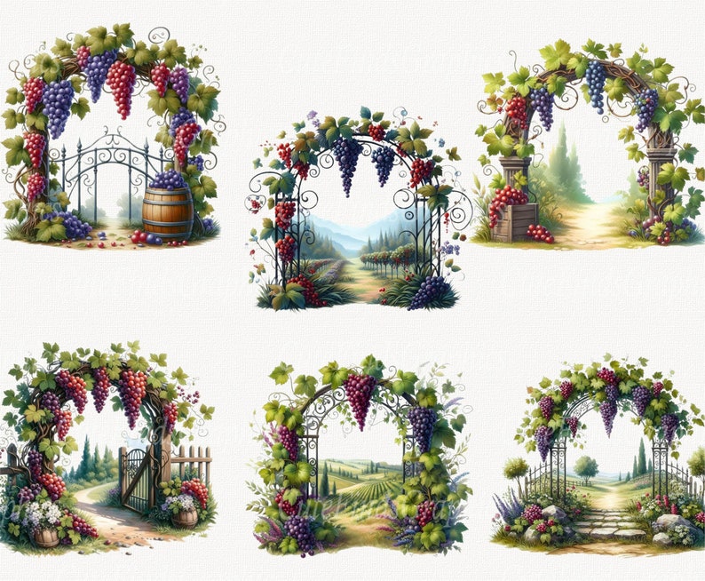 Arch With Vines, Grapes PNG, Grape Clipart,vineyard Landscape Digital ...
