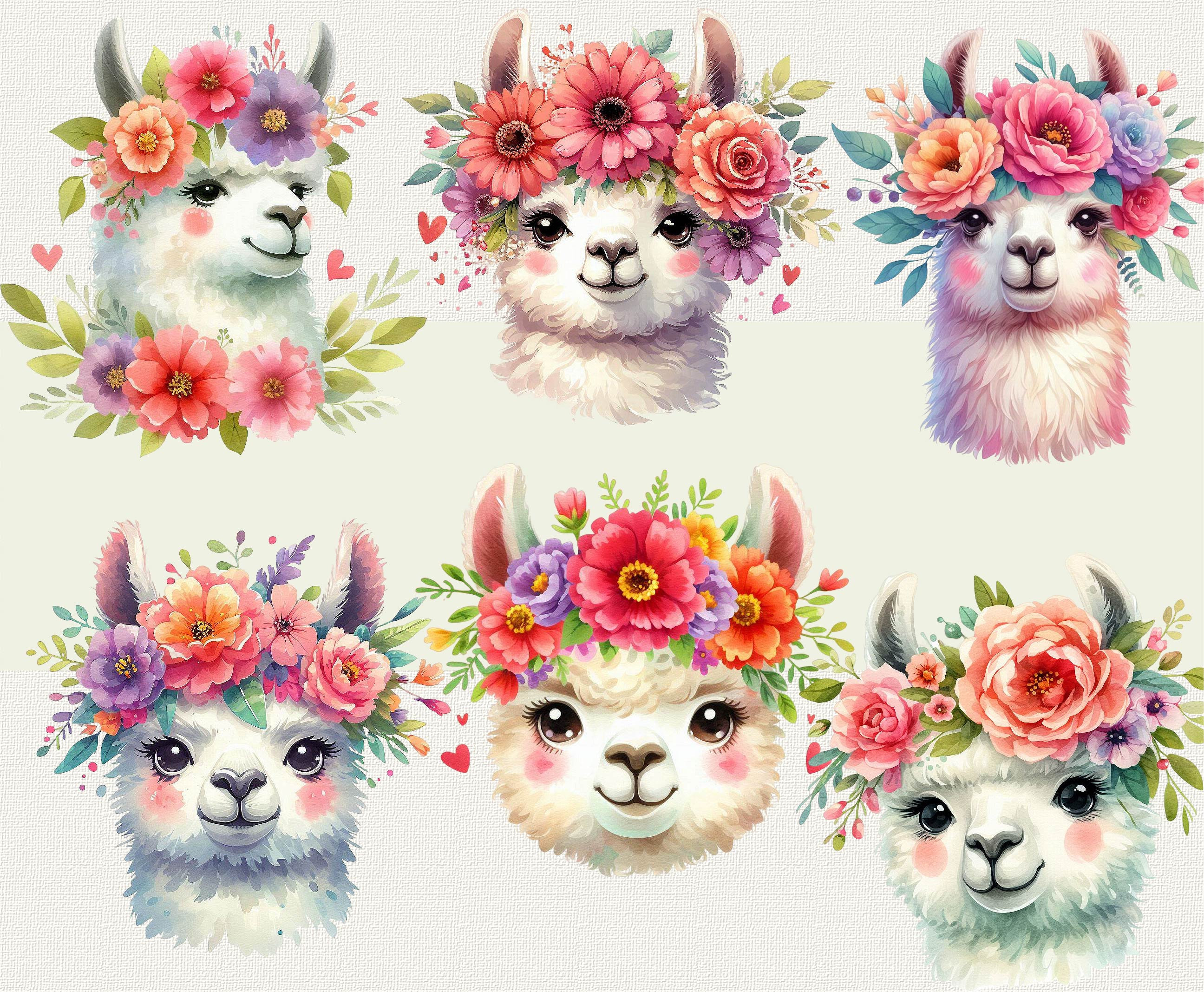 Llama Watercolor Clipart, Spring Flowers PNG, Llama Portrait, Graphic ...