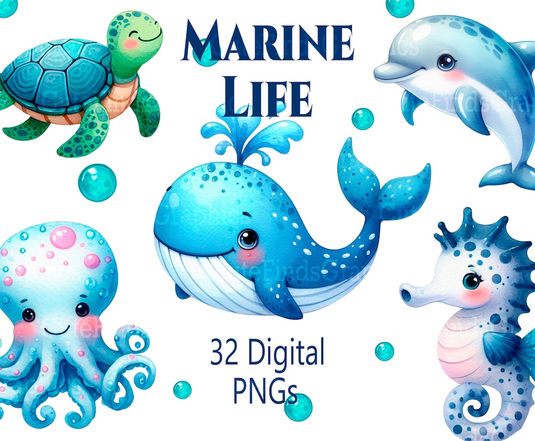 Sea Creatures PNG, Sea Animals Clipart, Instant Download, Image ...