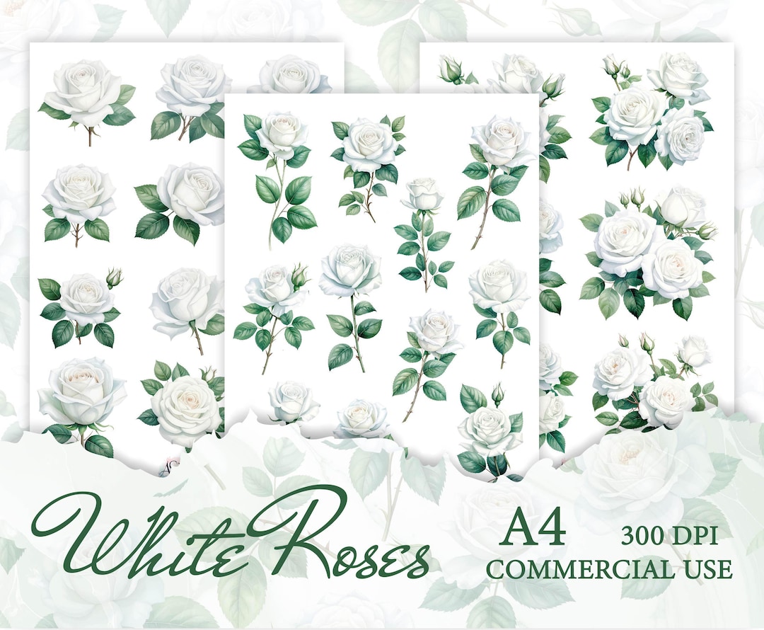 Printable White Roses Cutouts, Collage Sheets, Printable and Scrapbook ...