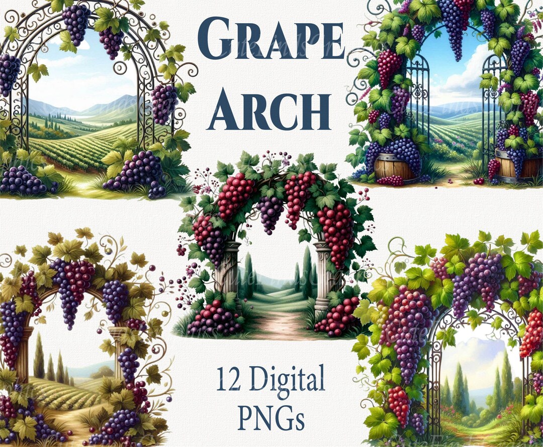 Arch With Vines, Grapes PNG, Grape Clipart,vineyard Landscape Digital ...