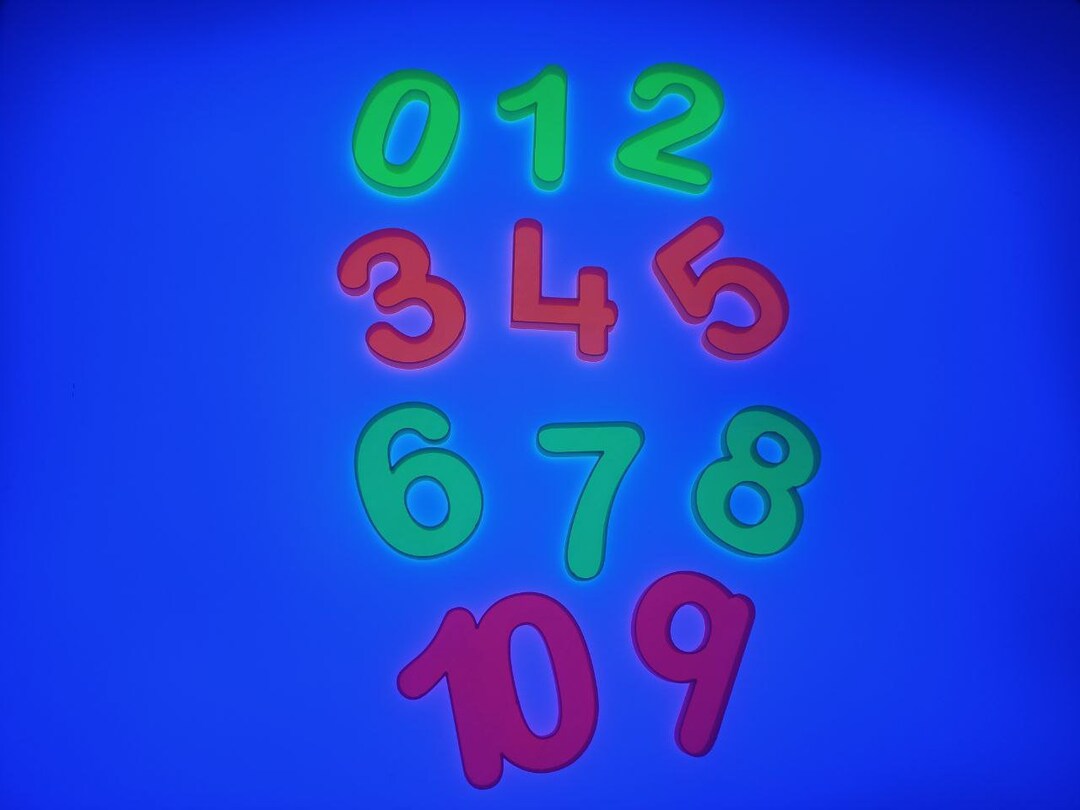 Fluorescent Fillable Numbers - Etsy