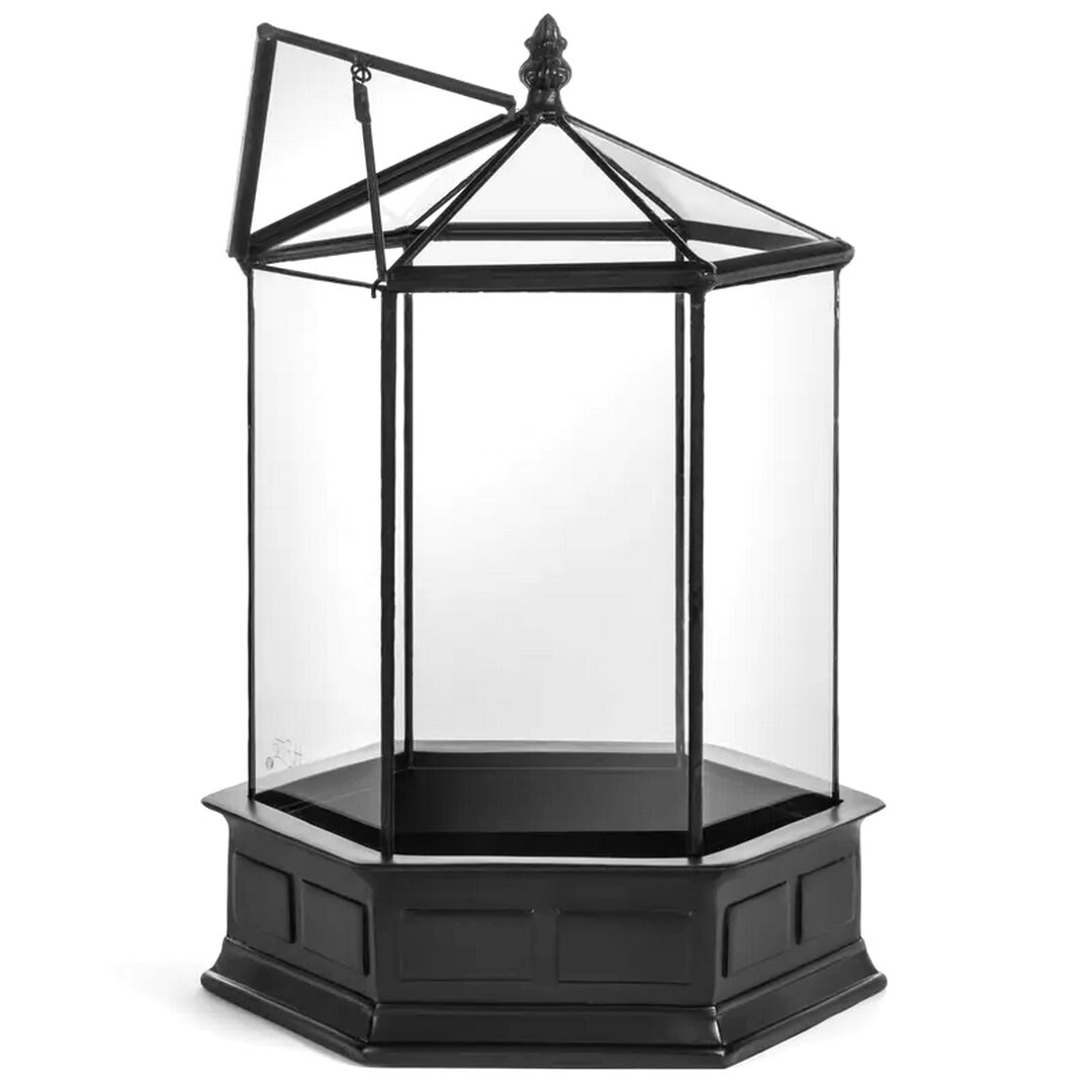 H Potter Terrarium Six Sided Glass Herb Container Succulent - Etsy