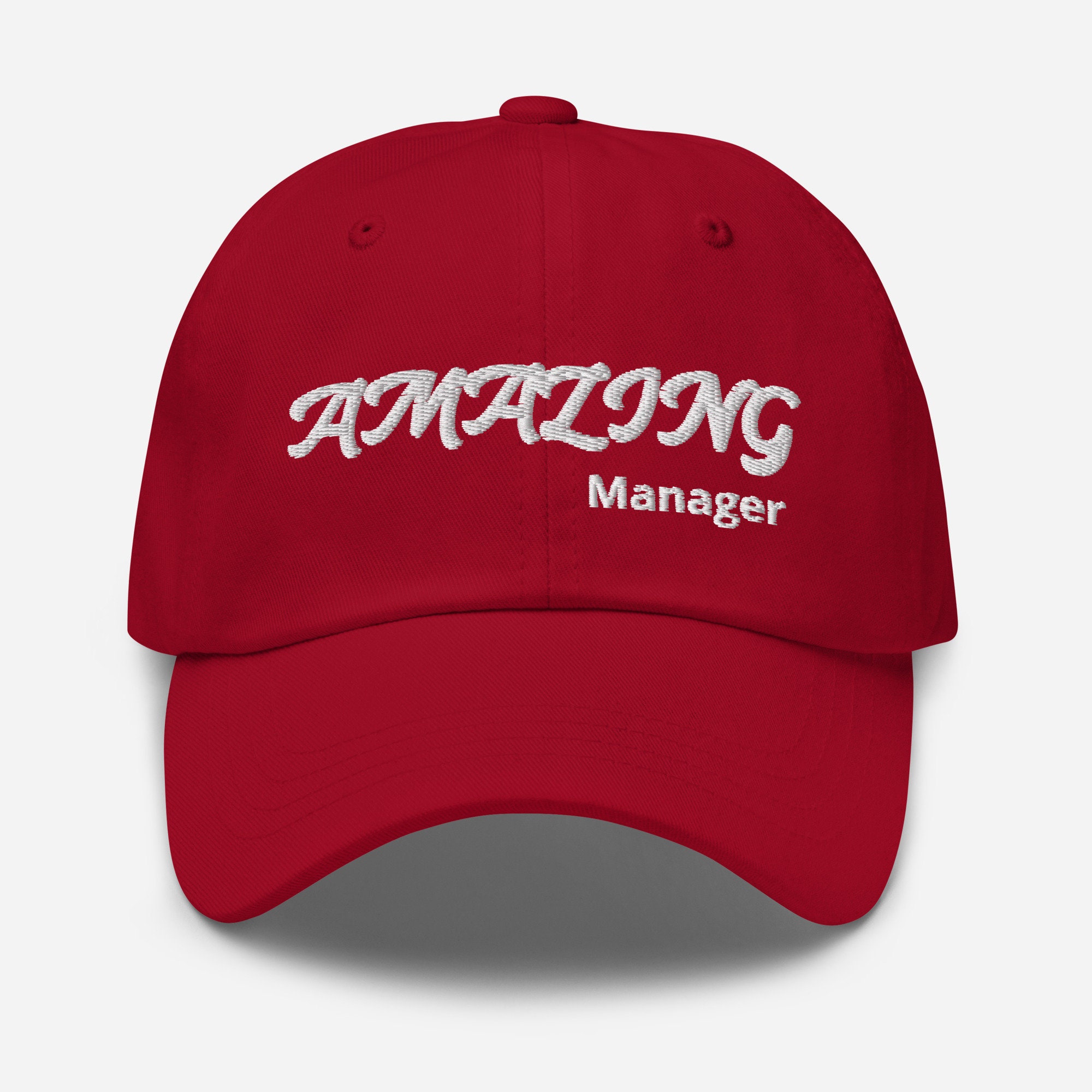 Manager Dad Hat 7 Amazing Manager Agile Project Management Software ...