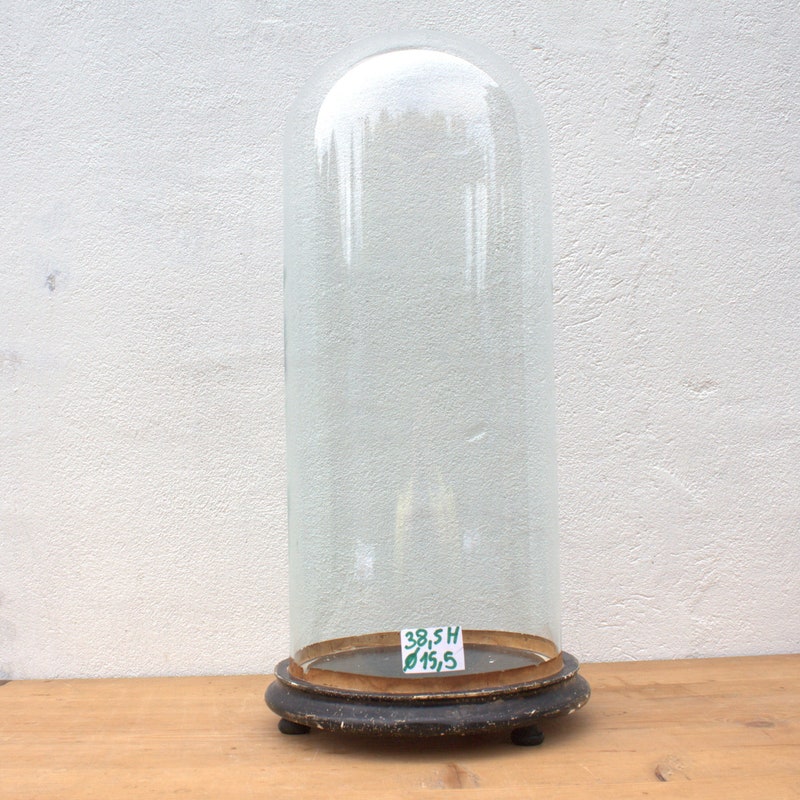 Glass Dome Display - Etsy