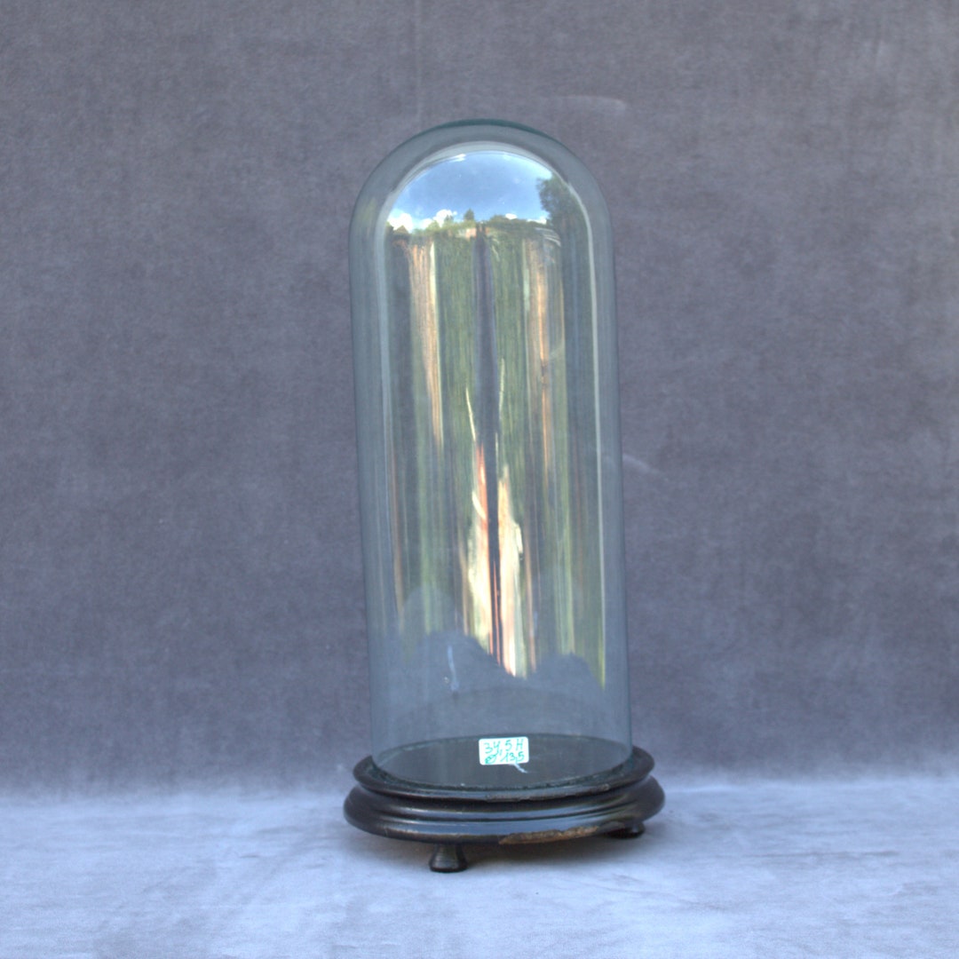 Antique Round Glass Dome Bell Jar Cloche Unique Historic Victorian Era ...