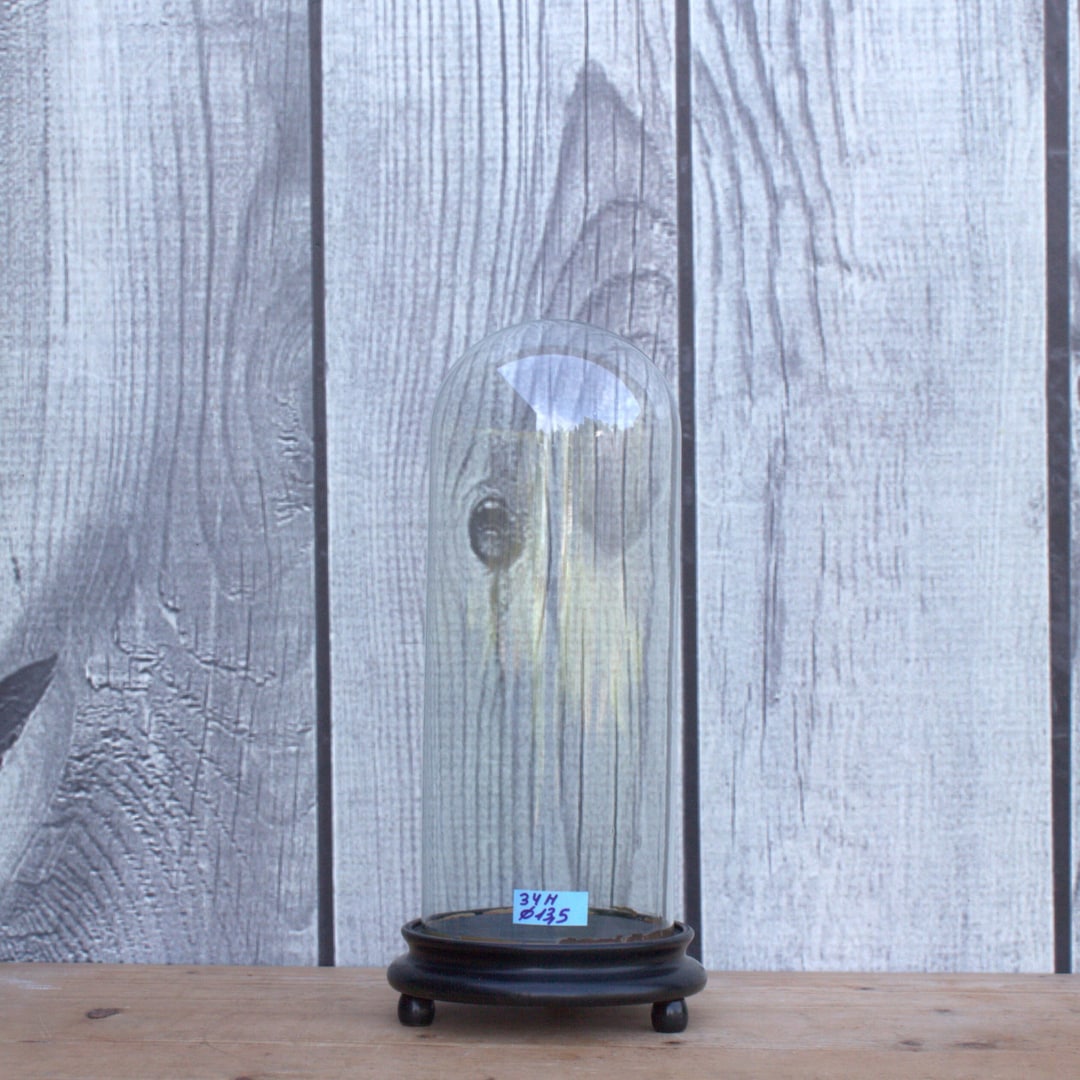 Antique Round Glass Dome Bell Jar Cloche Authentic Victorian Era ...
