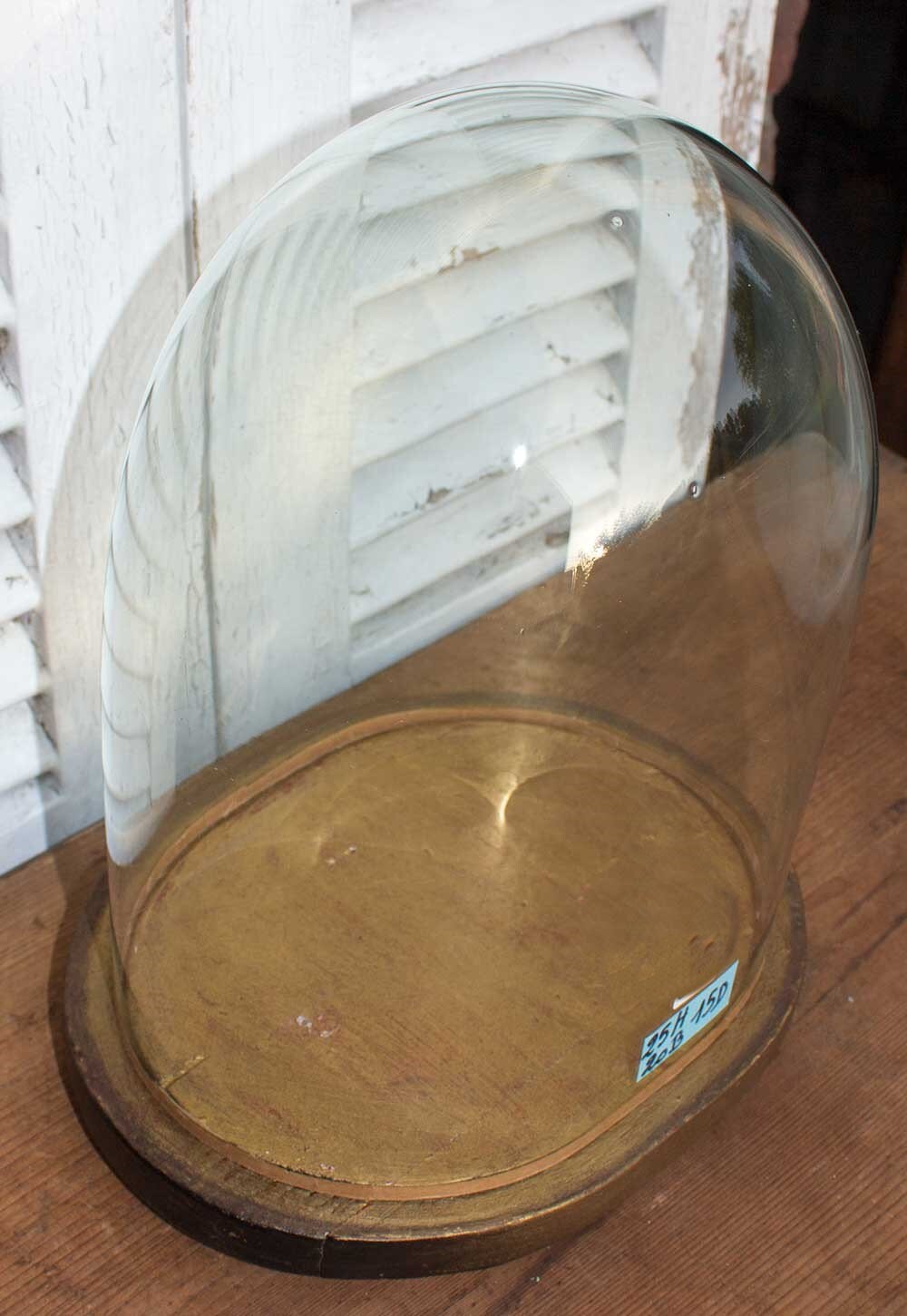 Antique Oval Glass Dome Bell Jar Special Size 15,94 X 8.66 Cloche ...