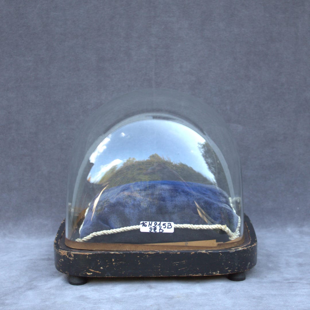 Antique French Square Glass Dome 6.30 X 8.46 X 8.66" Cloche Bell Jar ...