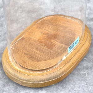 Retro Oval Glass Cloche 11.43x7.48x4.33 Dome Bell Jar 26,5x19x11cm Wood ...