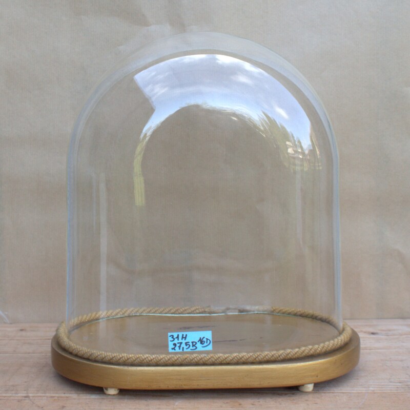 Large Glass Cloche - Etsy