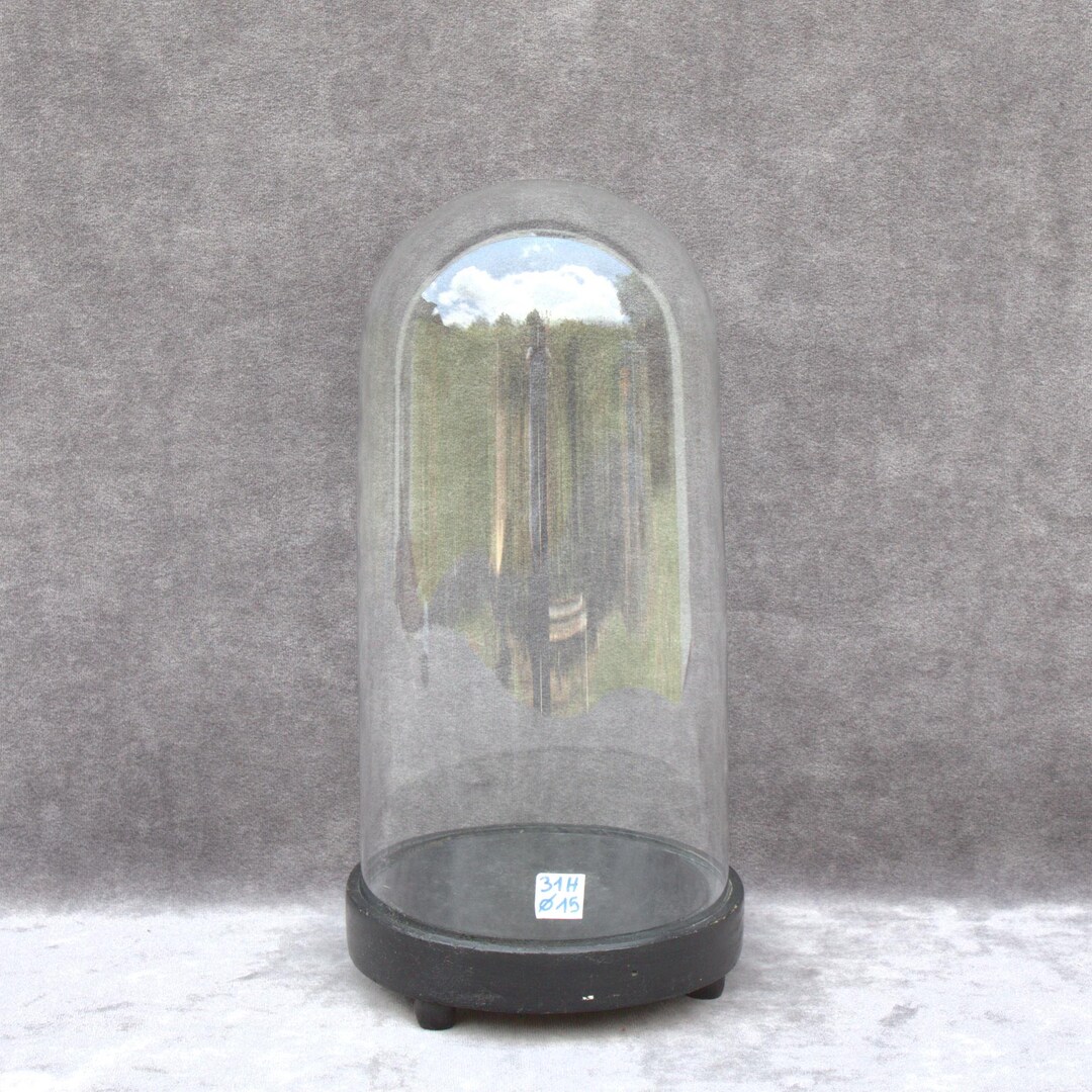 Exquisite Antique Round Glass Dome 12.20"x5.90" Bell Jar 31x15cm ...