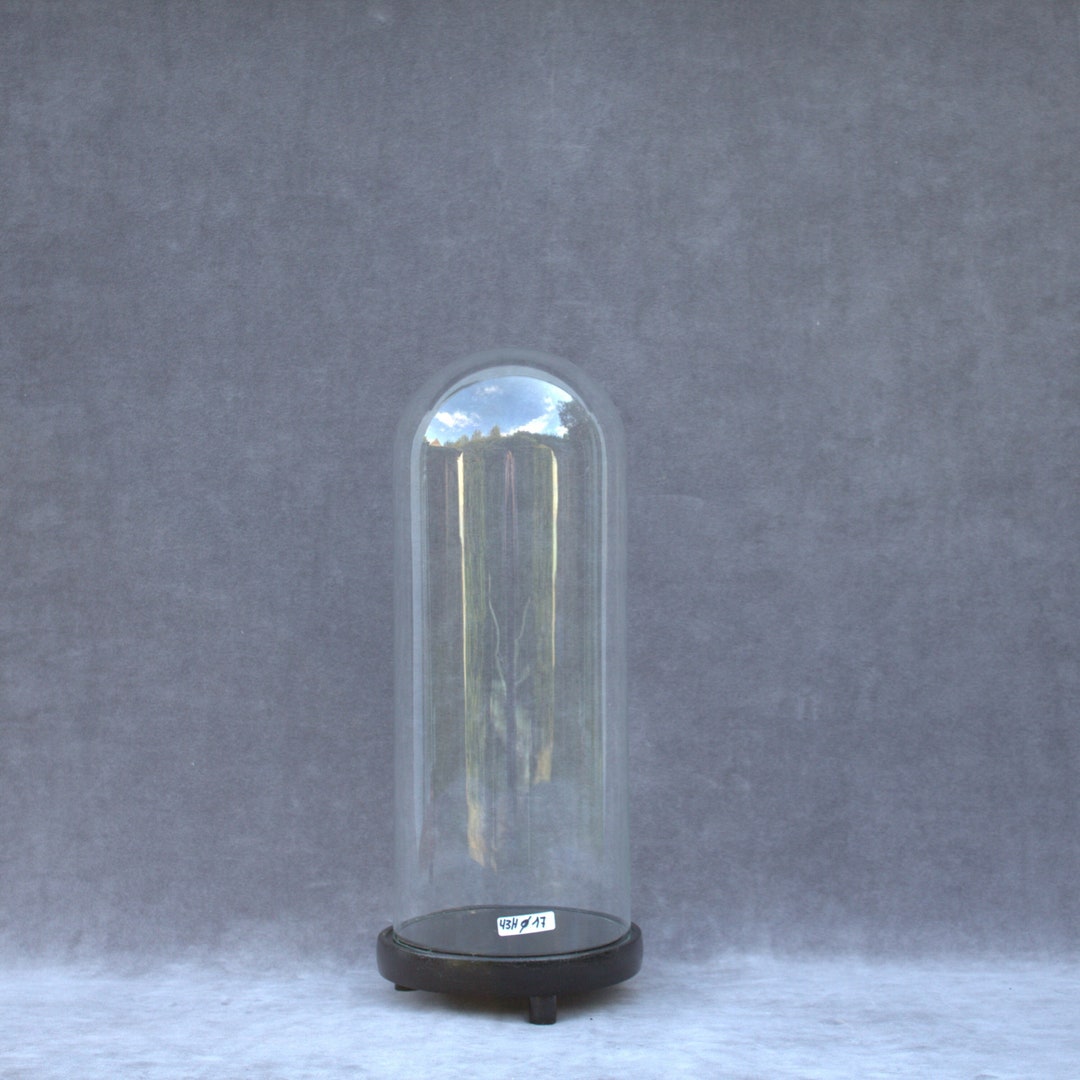 Antique Round Glass Dome Bell Jar 16.92 X 6.69 43 X 17 Cm Victorian Era ...