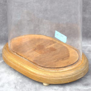 Retro Oval Glass Cloche 11.43x7.48x4.33 Dome Bell Jar 26,5x19x11cm Wood ...
