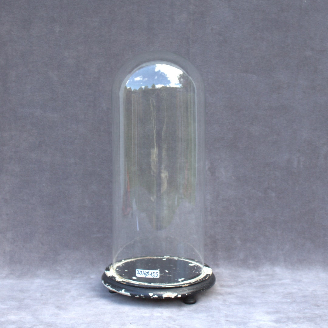 Antique Round Glass Dome Bell Jar Handblown With Base 39 Cm 15.35 Inch ...