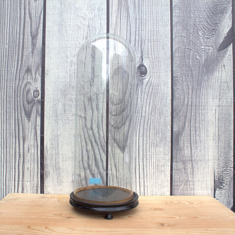 Exquisite Antique Round Glass Dome Bell Jar Victorian Era Time Period ...
