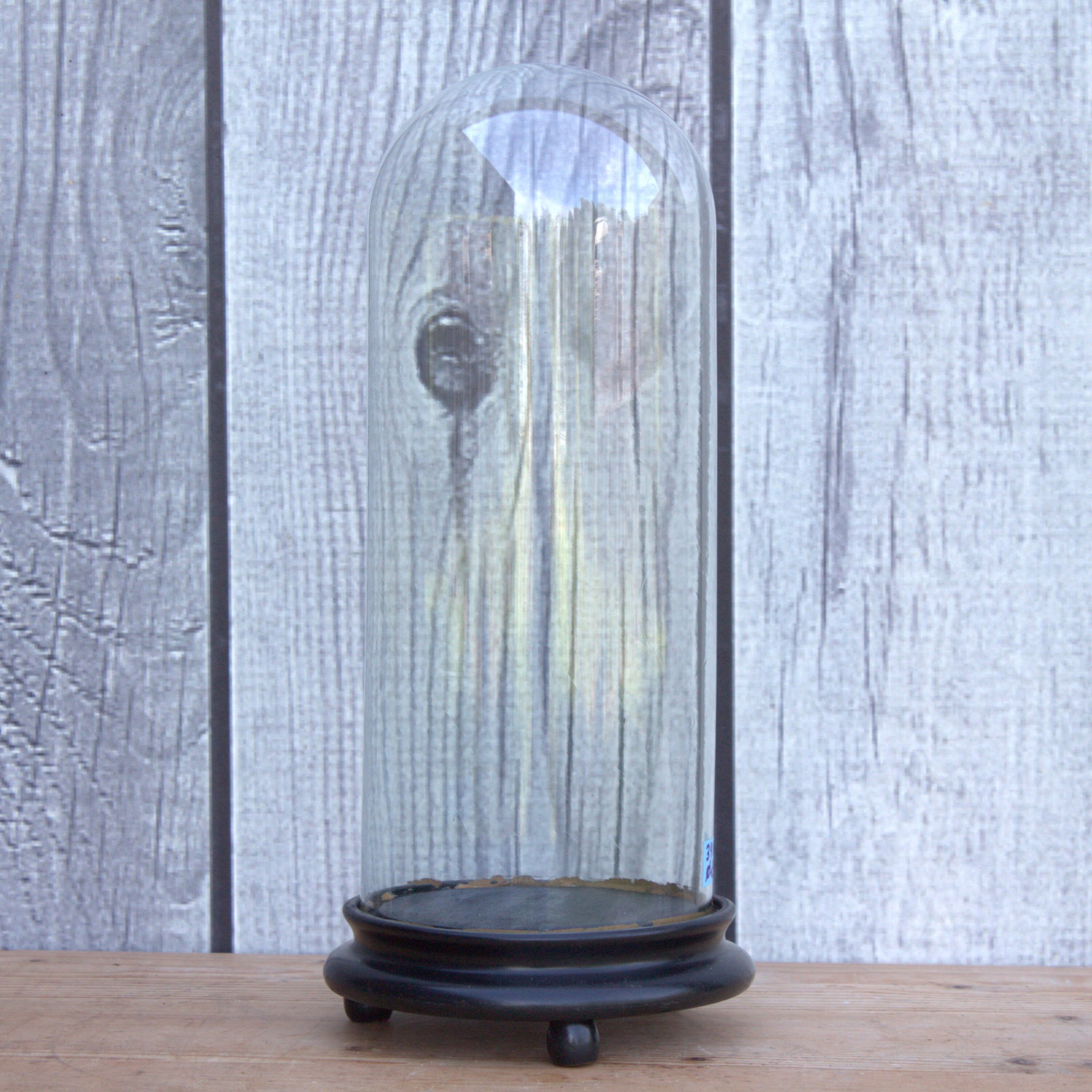 Antique Round Glass Dome Bell Jar Cloche Authentic Victorian Era ...