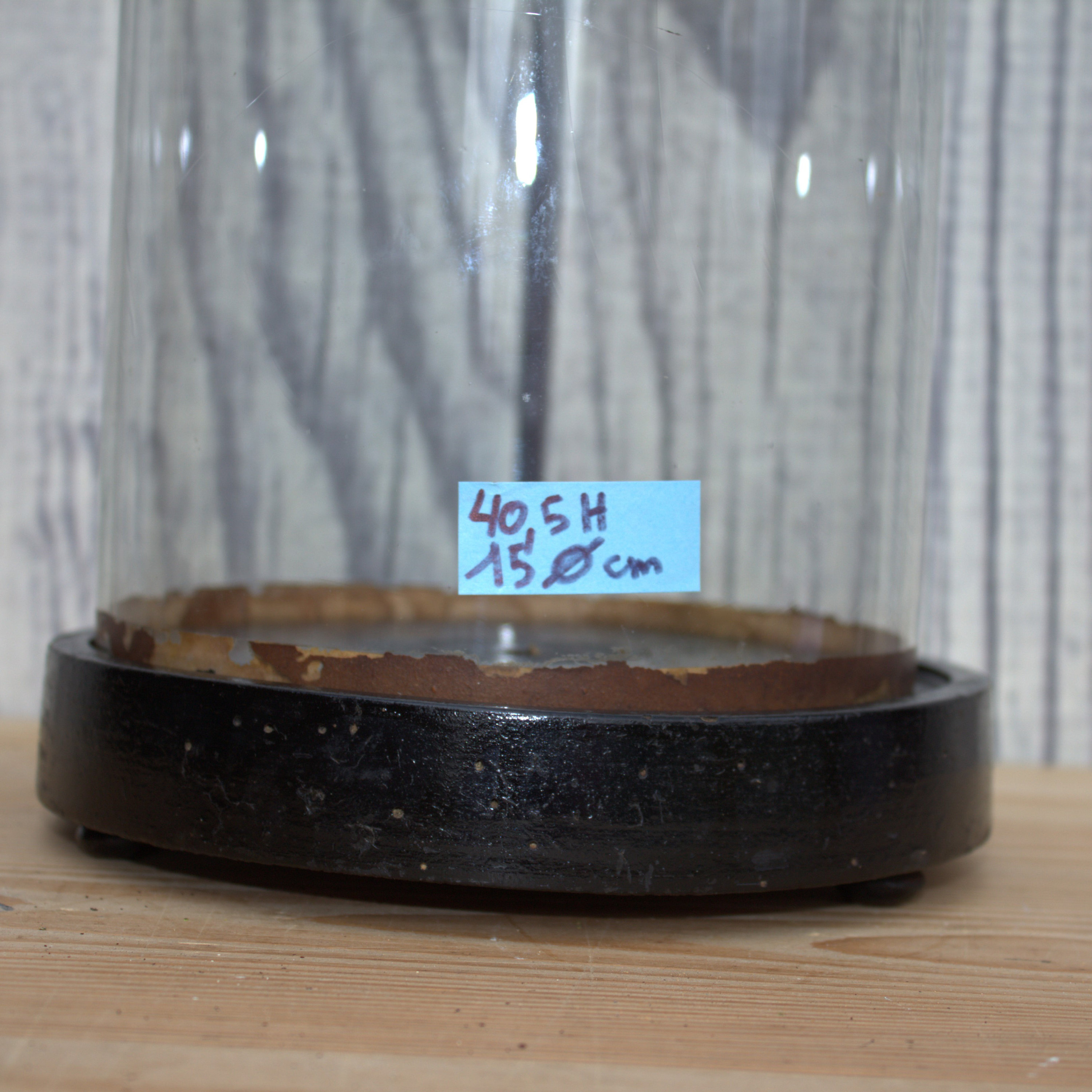 Antique Round Glass Dome Bell Jar Handblown Victorian Era Interior ...