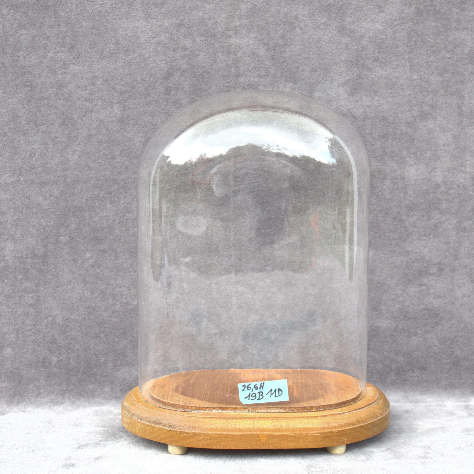 Retro Oval Glass Cloche 11.43x7.48x4.33 Dome Bell Jar 26,5x19x11cm Wood ...