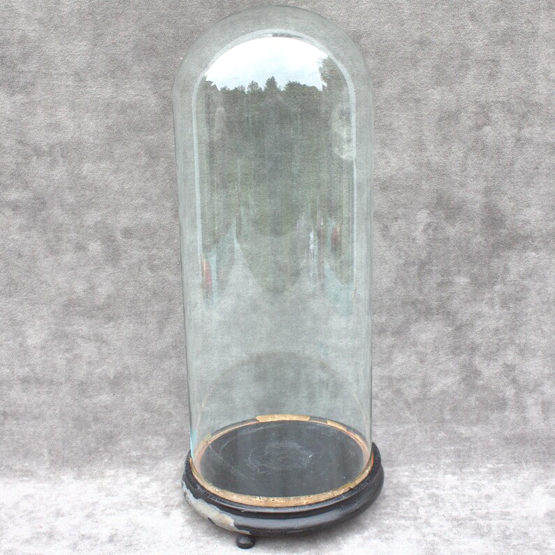 Antique Round Glass Dome Bell Jar 49,5 X 19 Cm Victorian Era 19.48 X 7. ...