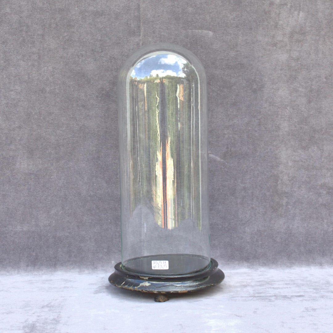 Antique 13.98x5.31" 35.5 X 13.5cm Round Glass Dome Bell Jar Victorian ...