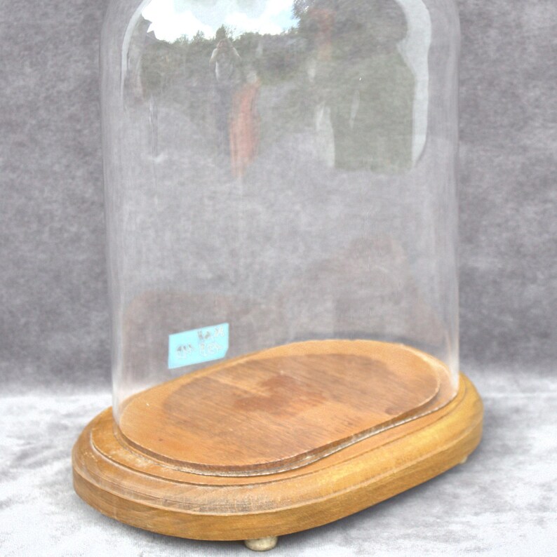 Retro Oval Glass Cloche 11.43x7.48x4.33 Dome Bell Jar 26,5x19x11cm Wood ...