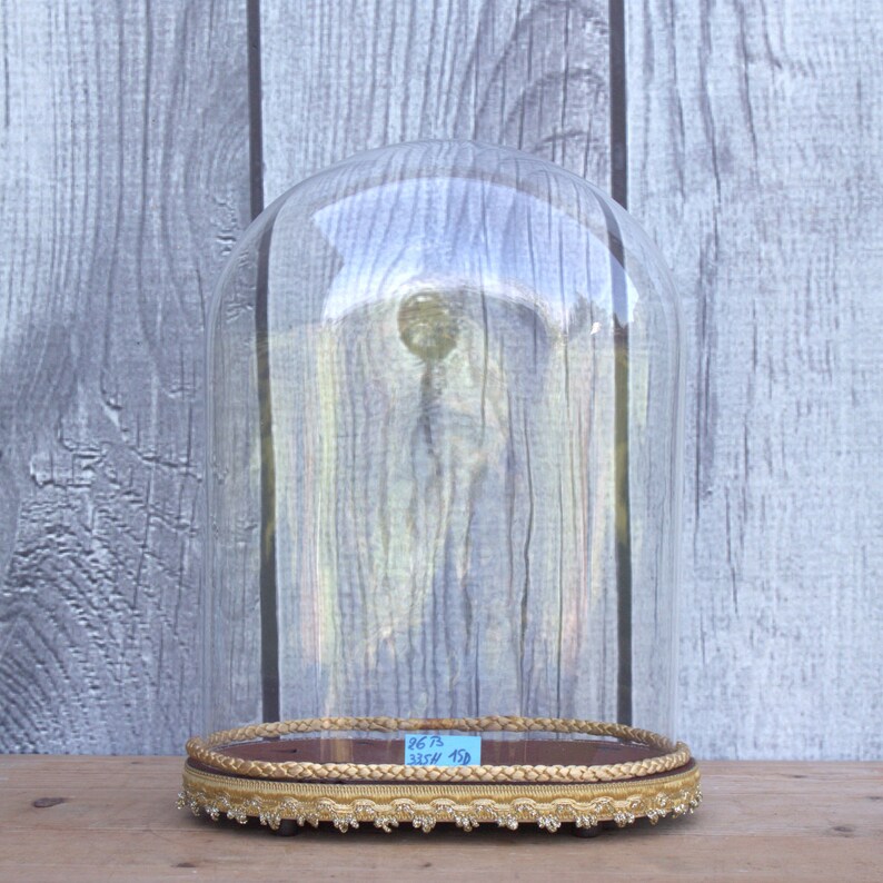 Vintage Retro Oval Glass Dome Bell Jar Cloche 13,18 Inch 33,5 Cmx 10.23 ...