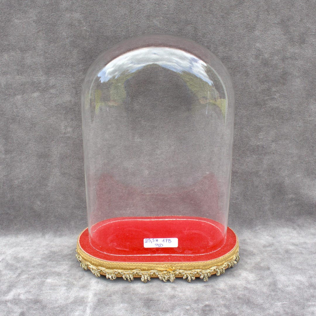 Vintage Oval Glass Cloche 10.04 X 6.69 X 3.54 Inch Deep Dome 25,5 X 17 ...