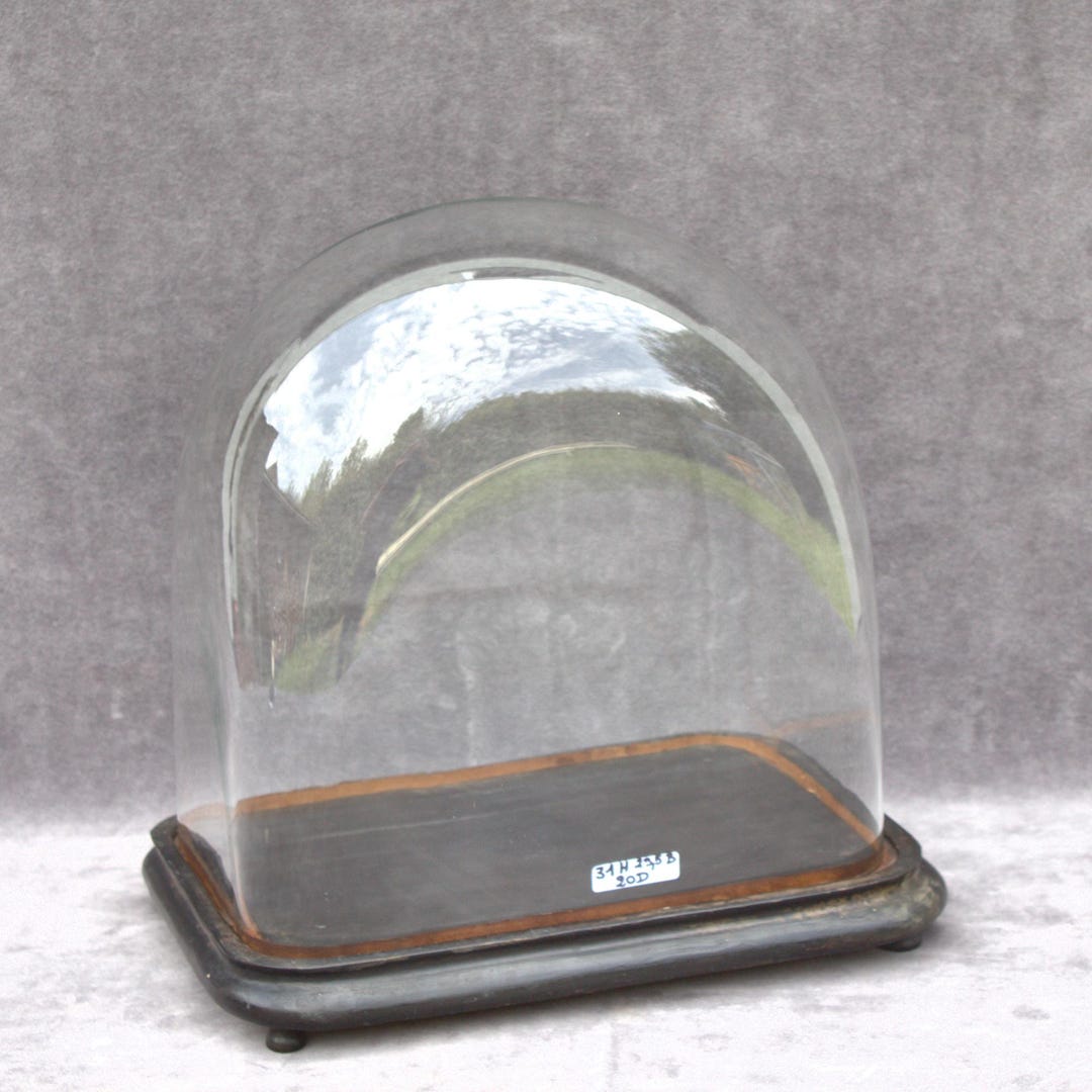 Antique French Rectangular Glass Dome 12.20x 11.61 X 7.87 31 X 29.5 X ...