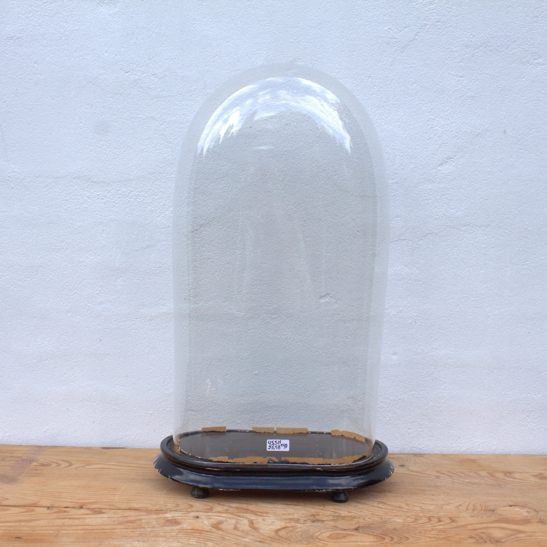 Antique Oval Glass Dome Bell Jar Victorian Era Black Wooden Base 17.91x ...