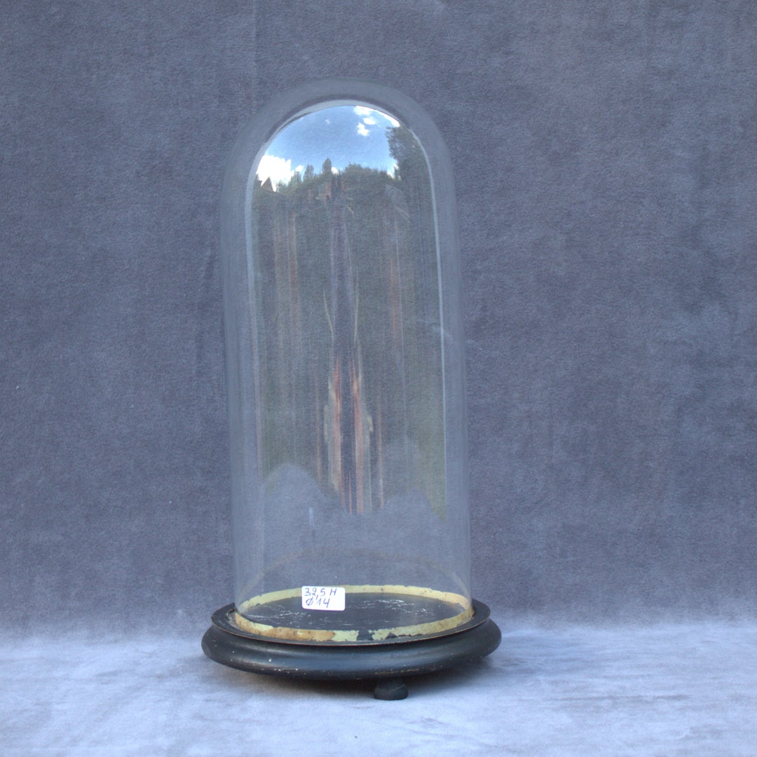 Antique Round Glass Dome Bell Jar Cloche 12.79 in 32,5 Cmx 5.51 in 14 ...