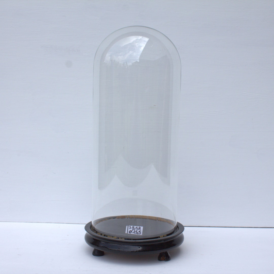 Antique French Round Glass Dome Bell Jar Handblown With Black Wooden 14 ...