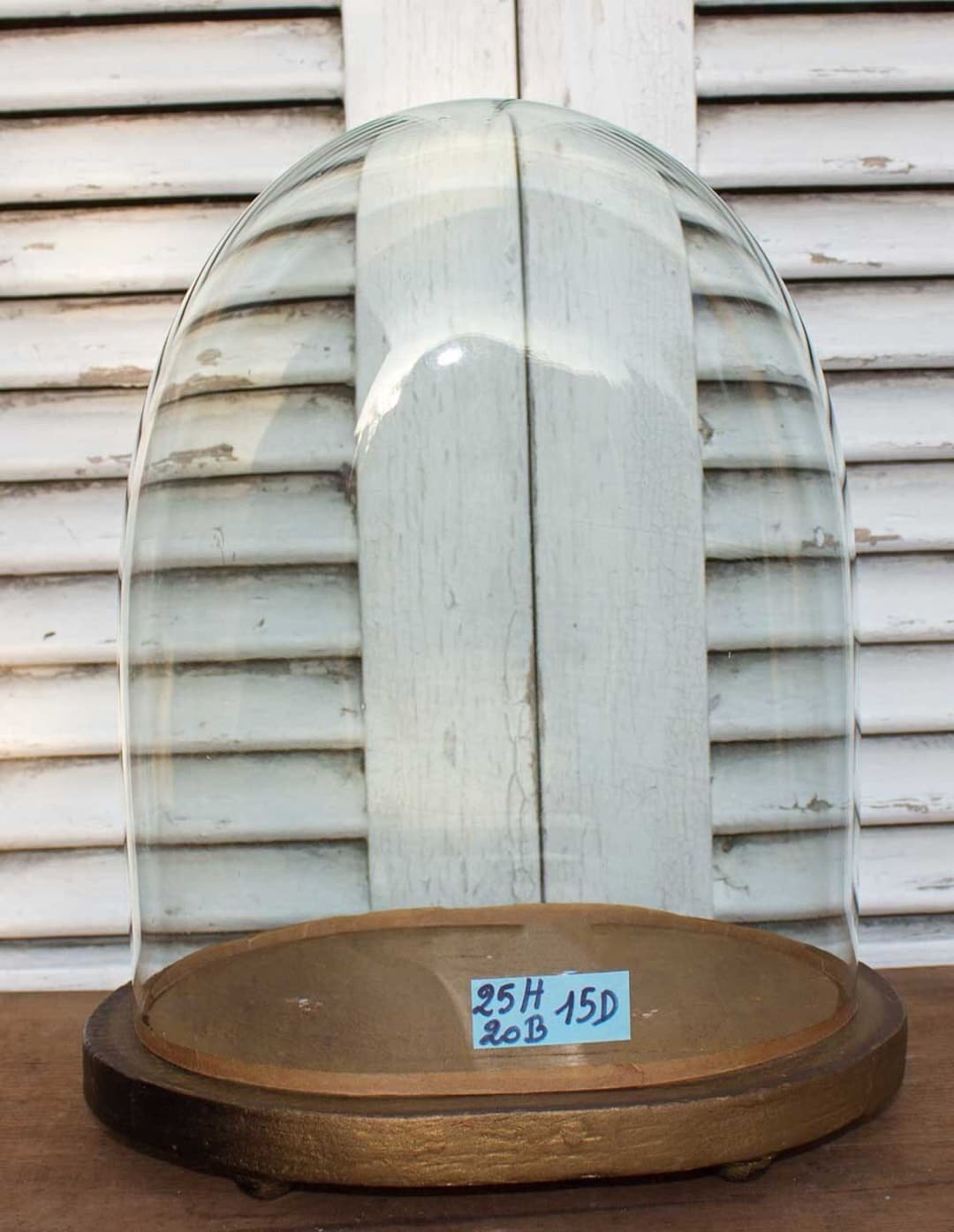 Antique Oval Glass Dome Bell Jar Special Size 15,94 X 8.66 Cloche ...